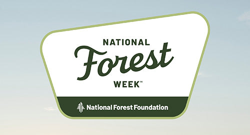 For the Trees - Earth Science